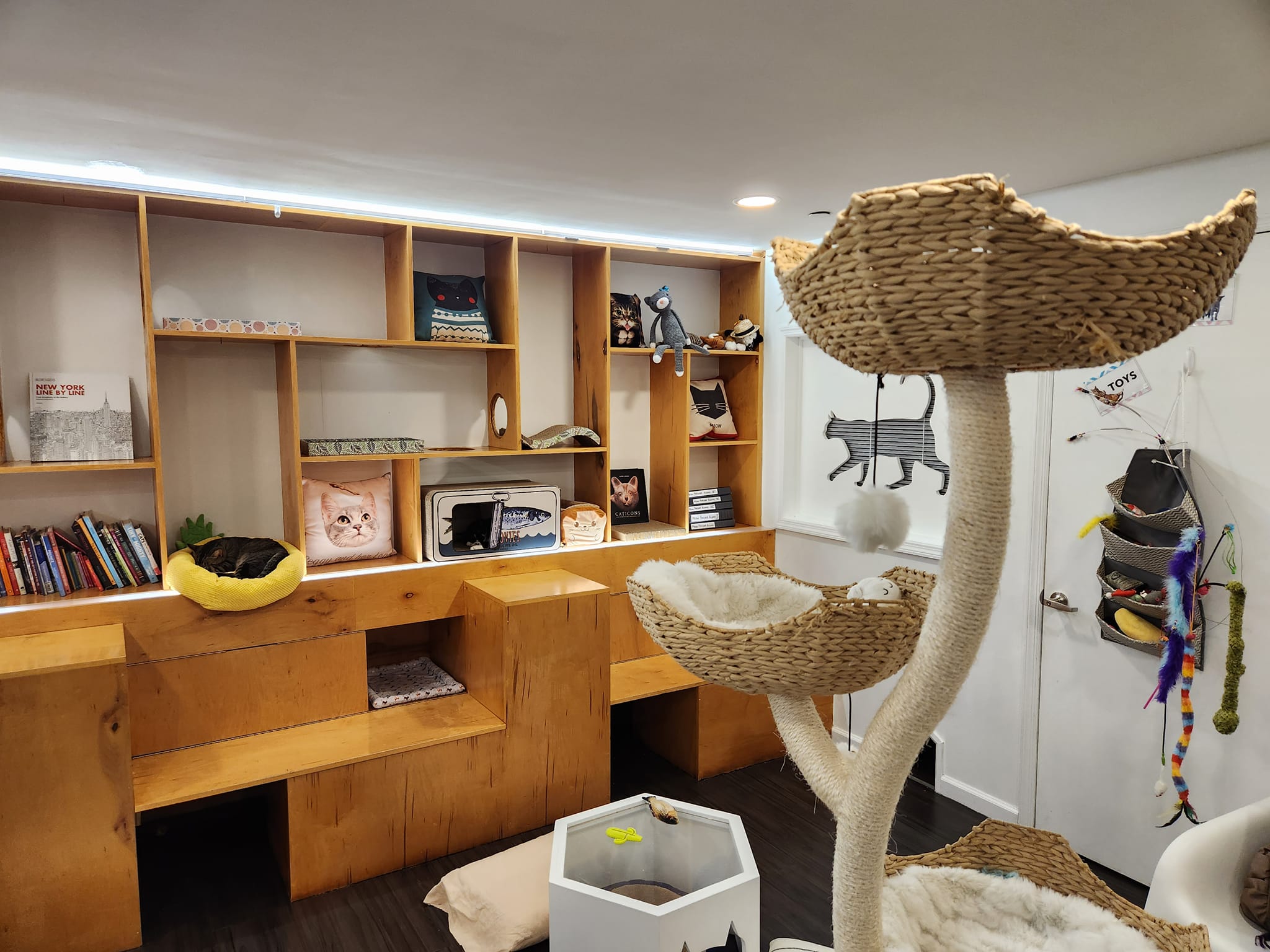 Meow Parlour | CatCafes.org